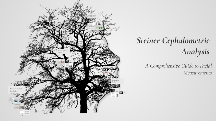 Steiner Cephalometric Analysis by Mohammad on Prezi