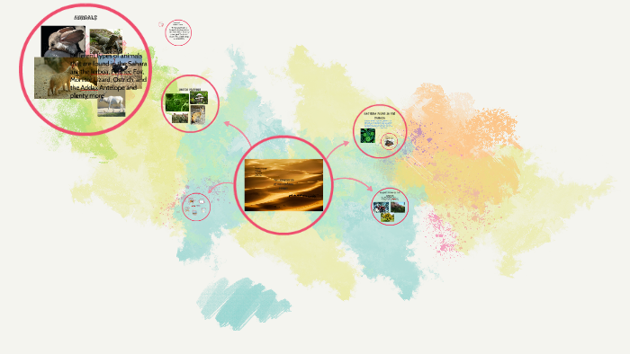 The Ecosystem of the Sahara Desert by Natalie Moody on Prezi