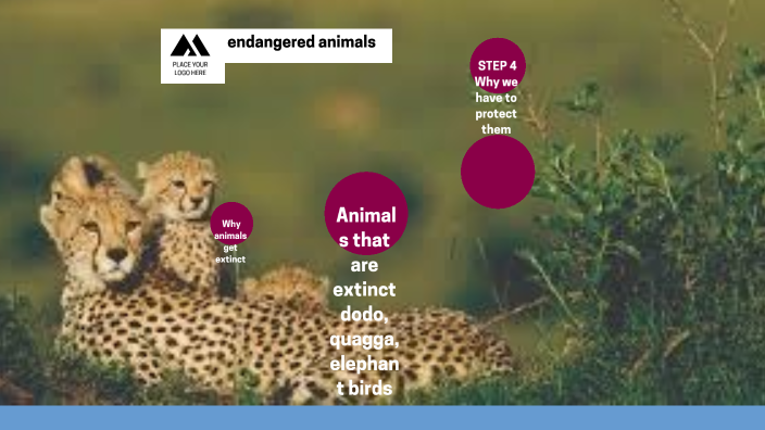 Why do we protect animals by Felipe LONGO ELÍA on Prezi
