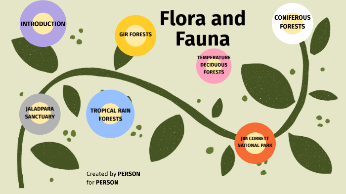 FLORA AND FAUNA by NAMAN TALREJA on Prezi