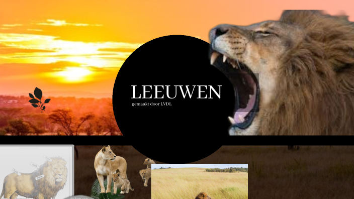Leeuwen by Lisa van der Leer on Prezi