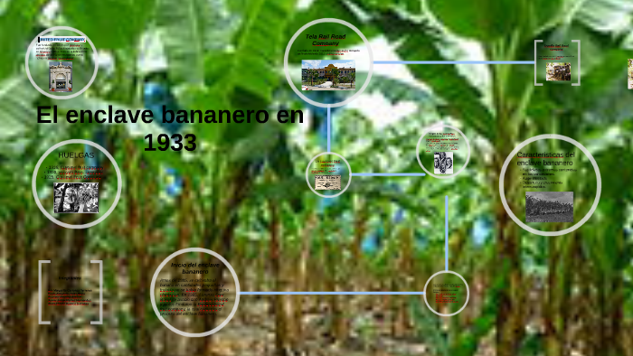 El enclave bananero en 1933 by isis carranza on Prezi