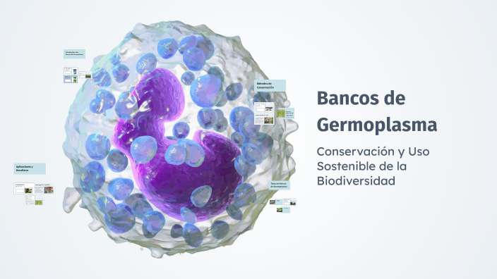 Bancos de Germoplasma by Tomas Garcia Peñuelas on Prezi