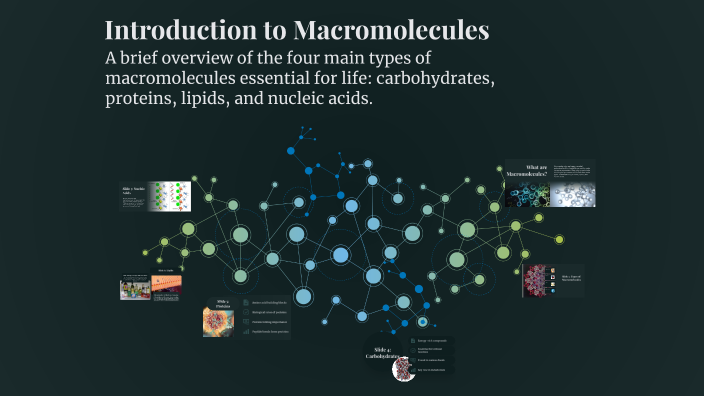 Introduction to Macromolecules by Madison Rayman on Prezi