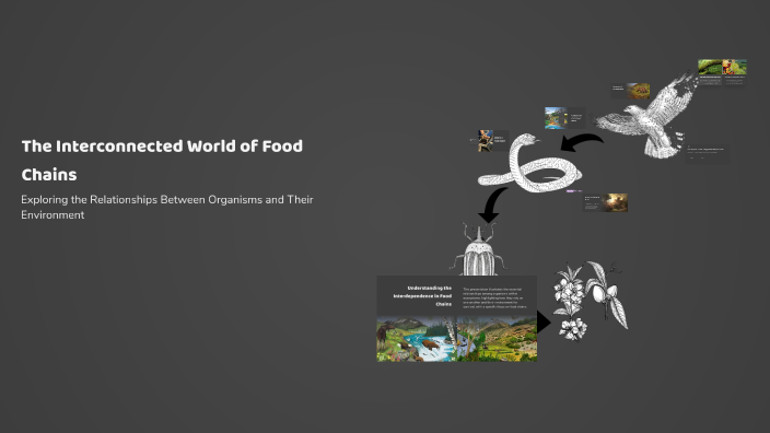 The Interconnected World of Food Chains by Friday Assessment on Prezi