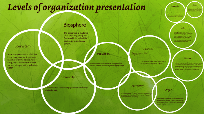 Levels of organization of living things by Felicity Donovan [STUDENT ...