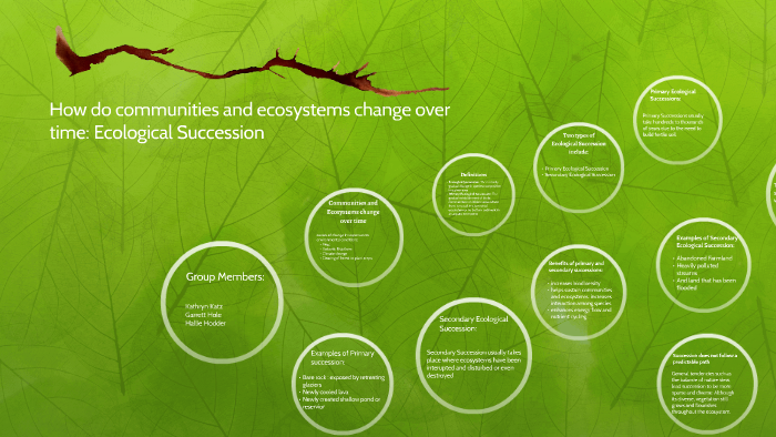 5-3 How do communities and ecosystems change over time: Ecol by Kathryn ...