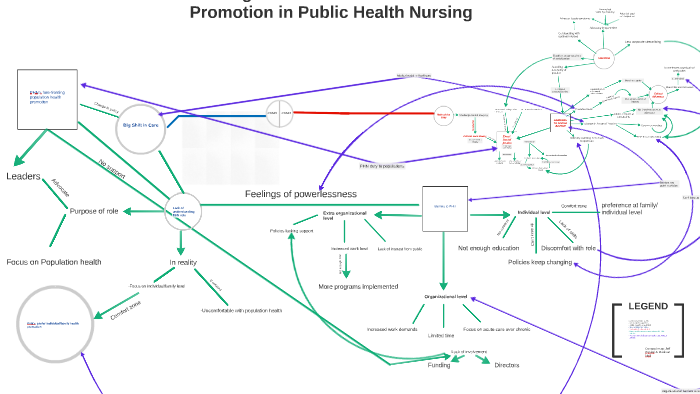Challenges of Health Promotion in Public Health Nursing by madison ...