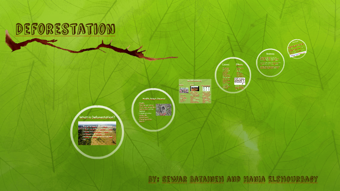 Deforestation by sewar bataineh on Prezi