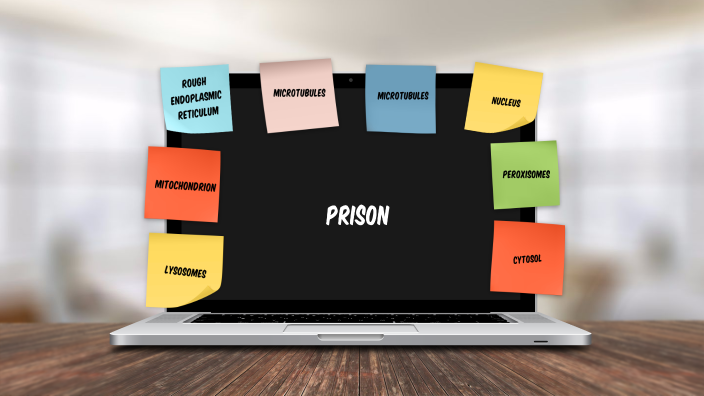 Cells Alive-Animal Cell Landon 5th hour by Landon McGovern on Prezi