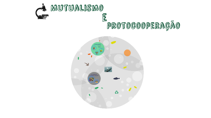 Mutualismo e Protocooperação by rebeca mendes on Prezi