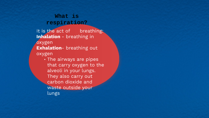 Respiratory system by Skyler Harrison on Prezi