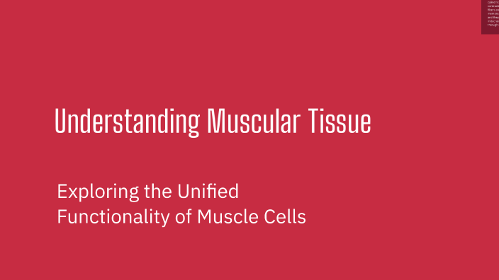 Understanding Muscular Tissue by Ashlee Garrett on Prezi