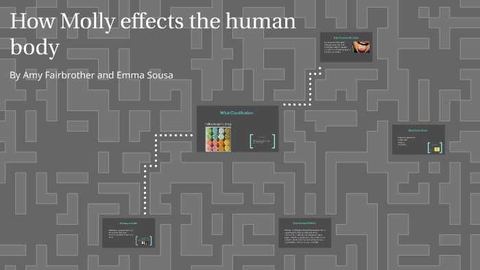 How Molly effects the human body by amy fair on Prezi