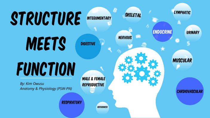 Structure Meets Function by Kim Owusu on Prezi