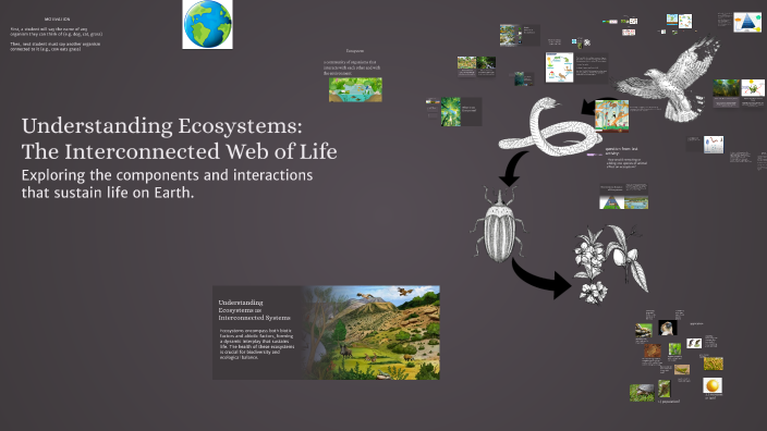 Understanding Ecosystems: The Interconnected Web of Life by Lloyd Ranes ...