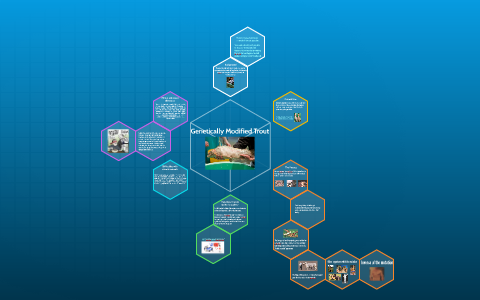 Genetically Modified Trout by Andrew Tran on Prezi