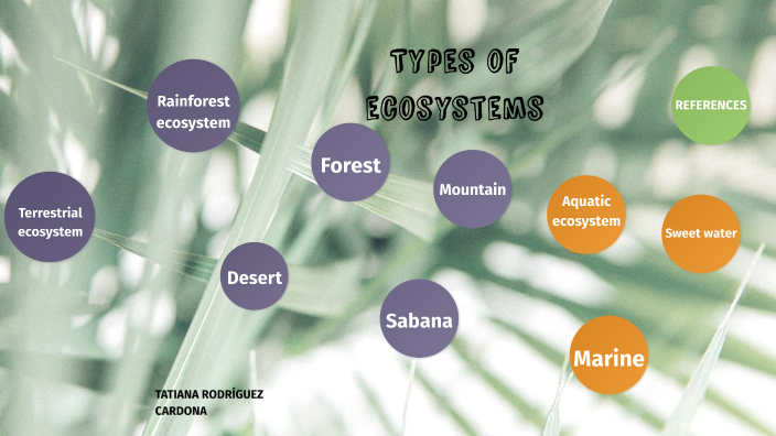 Types of ecosystems by TATIANA RODRIGUEZ CARDONA on Prezi