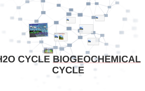 H2O CYCLE BIOGEOCHEMICAL CYCLE by jos andre on Prezi