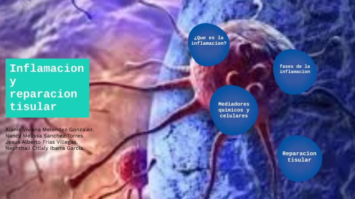 Inflamacion y reparacion tisular by Alanis viviana Meléndez González on ...