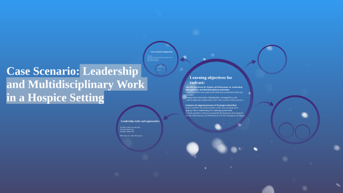 Case Scenario: Leadership and Multidisciplinary Work in a Hospice ...