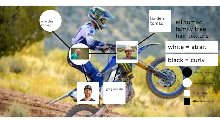 my family tree by chance pacheco on Prezi