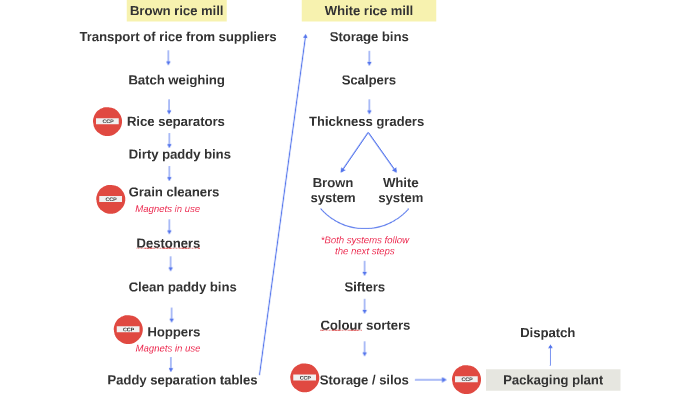 Sunrice - rice flowchart by Karina Durham on Prezi