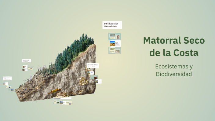 Matorral Seco de la Costa by Sherick Tigasi on Prezi