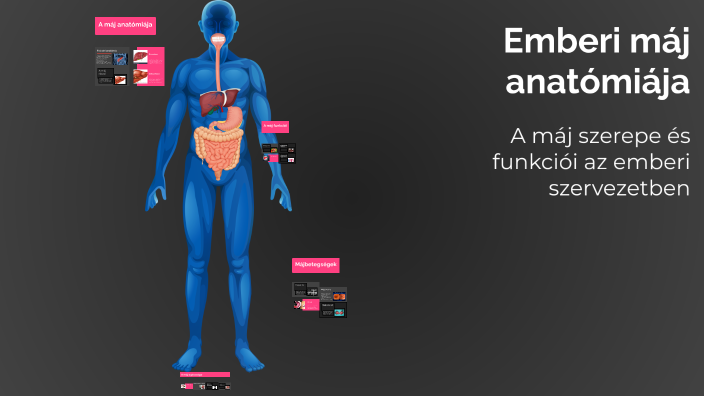 Emberi máj anatómiája by games zeti on Prezi