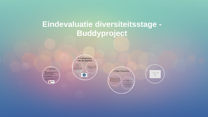 Eindevaluatie diversiteitsstage - Buddyproject by Denise Dewit on Prezi