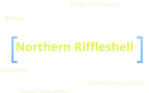 Northern Riffleshell: Ecology and Evolution by Liz Schwabel on Prezi