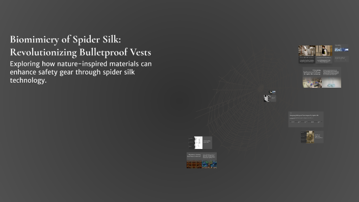 Biomimicry of Spider Silk: Revolutionizing Bulletproof Vests by on Prezi