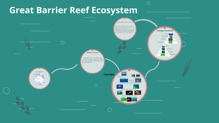 Great Barrier Reef Ecosystem by Joseph Santana on Prezi