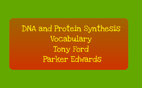 DNA and Protein Vocabulary by Anthony Ford on Prezi