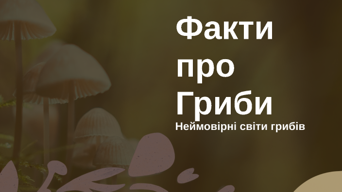 Факти про Гриби by Sofia Sofia on Prezi