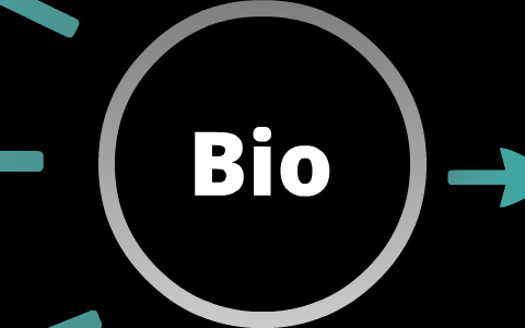 Etymology Visual Project by John Doe on Prezi