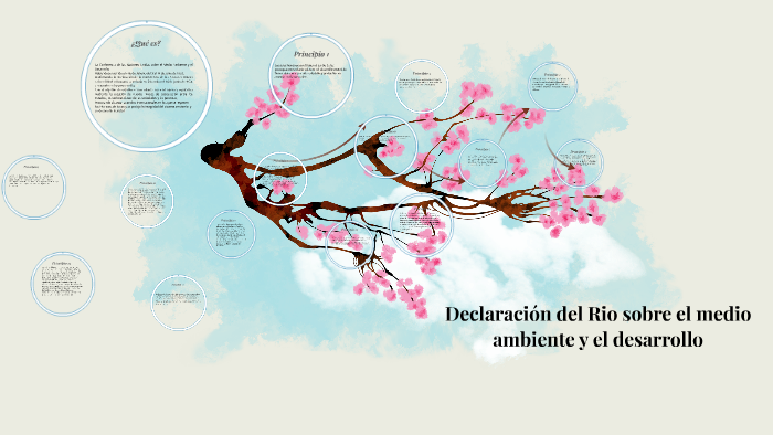 Declaración del Rio sobre el medio ambiente y el desarrollo by Yatziry ...