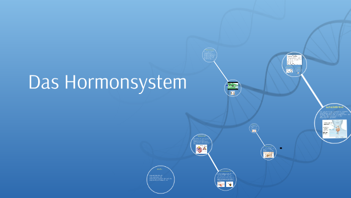 Das Hormonsystem by Magda Kubek on Prezi
