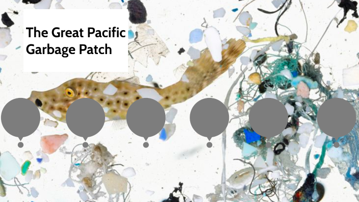 The Great Pacific Garbage Patch by Shelby Carlson on Prezi