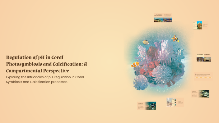 Regulation of pH in Coral Photosymbiosis and Calcification: A ...
