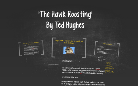 'The Hawk Roosting' by laura iacono on Prezi