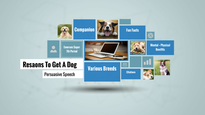 Persuasive Speech: Reasons To Get A Dog by Emerson Super on Prezi