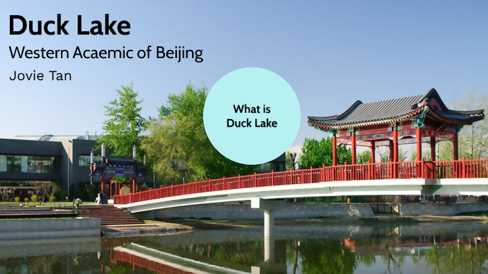 WAB Duck Lake by Jovie Tan on Prezi