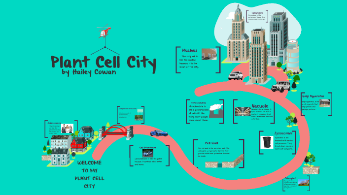 Plant Cell City by Hailey Cowan on Prezi