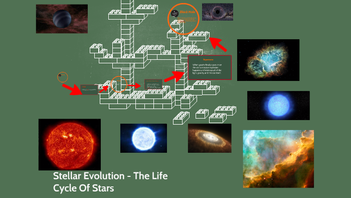 Stellar Evolution - The Life Cycle Of Stars by Brady Reynolds on Prezi