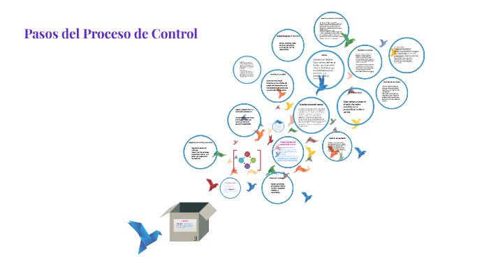 Pasos del Proceso de Control by Lizy Kevinia on Prezi