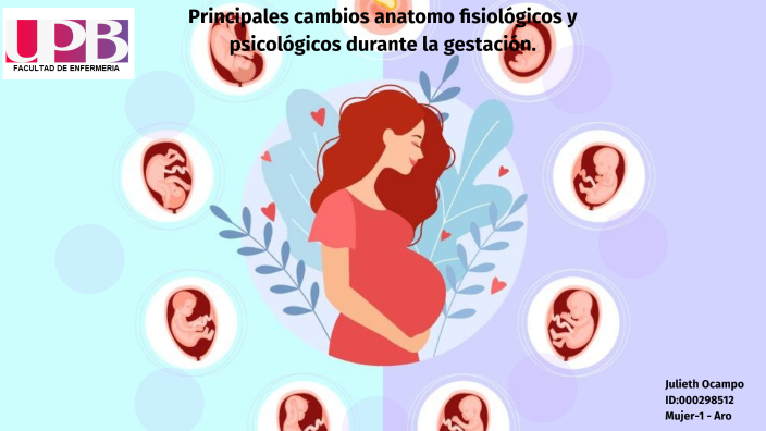 Principales Cambios Anatomo Fisiológicos Y Psicológicos Durante La