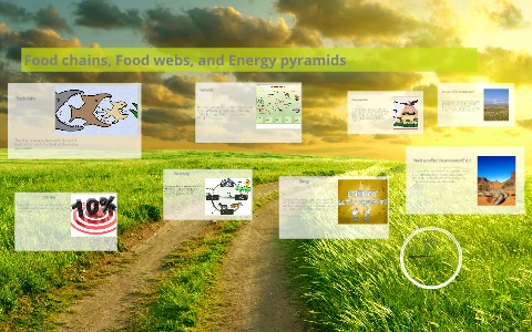food chains, food webs, energy pyramids by Kayla Crain on Prezi