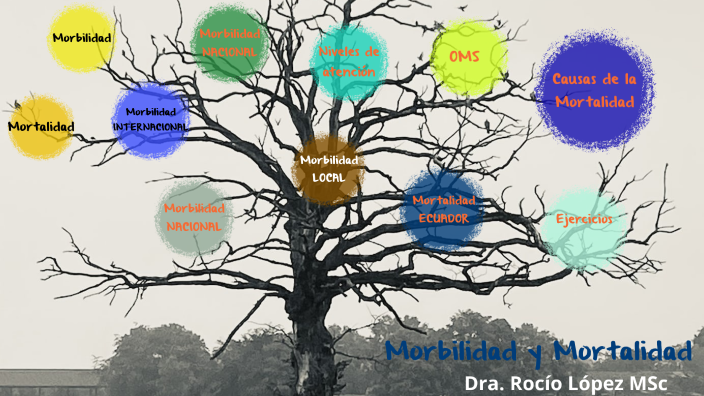 3. Morbilidad y Mortalidad by ROUS L. on Prezi