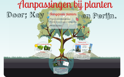Aanpassingen bij planten by Kay Kluijtmans on Prezi